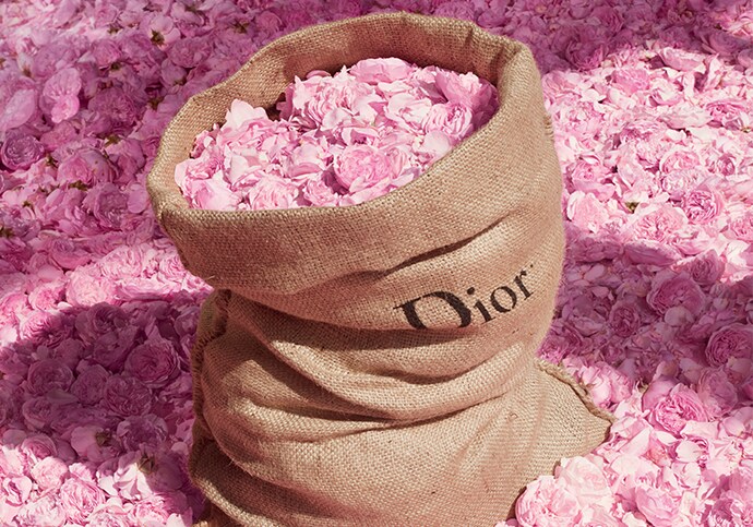 La experiencia de Dior