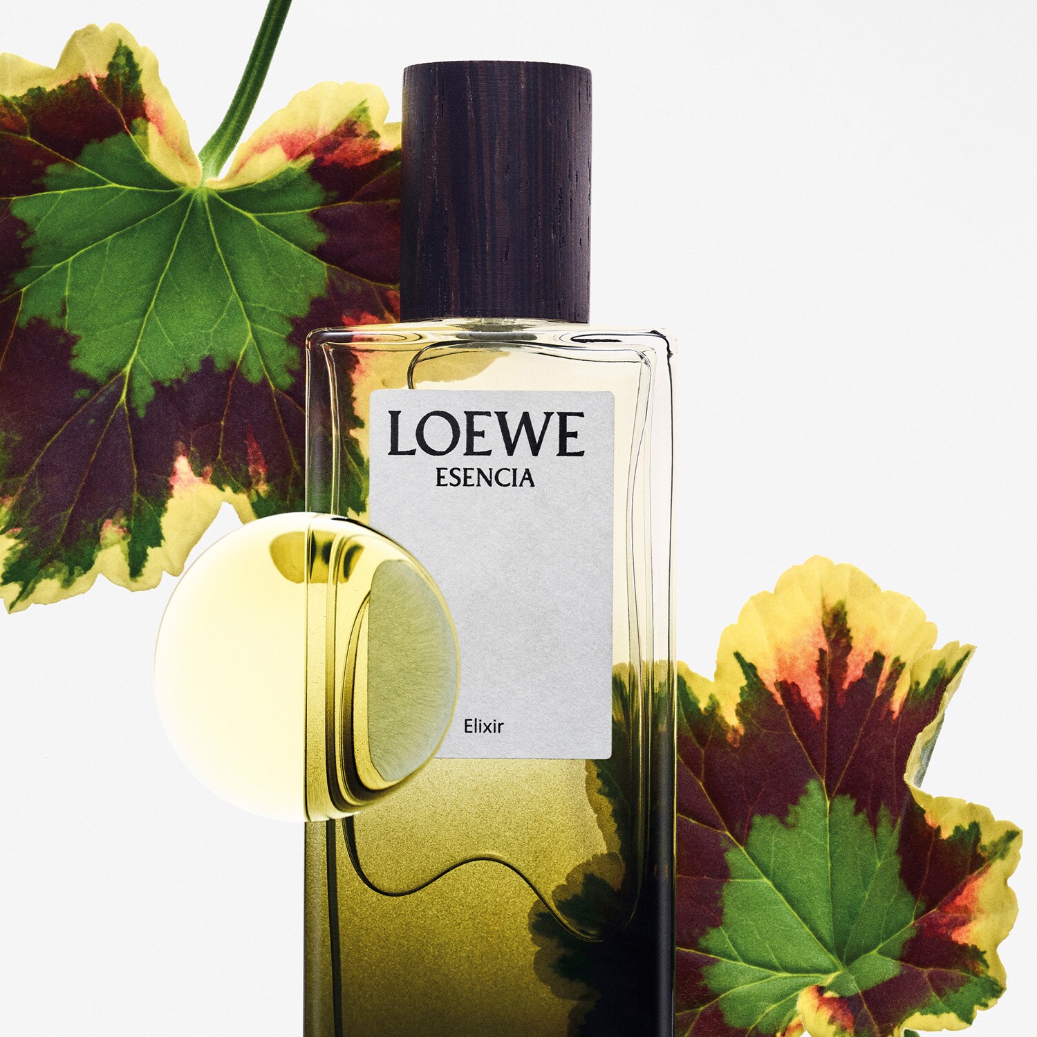 Esencia Elixir - Eau de Parfum de Loewe ≡ SEPHORA