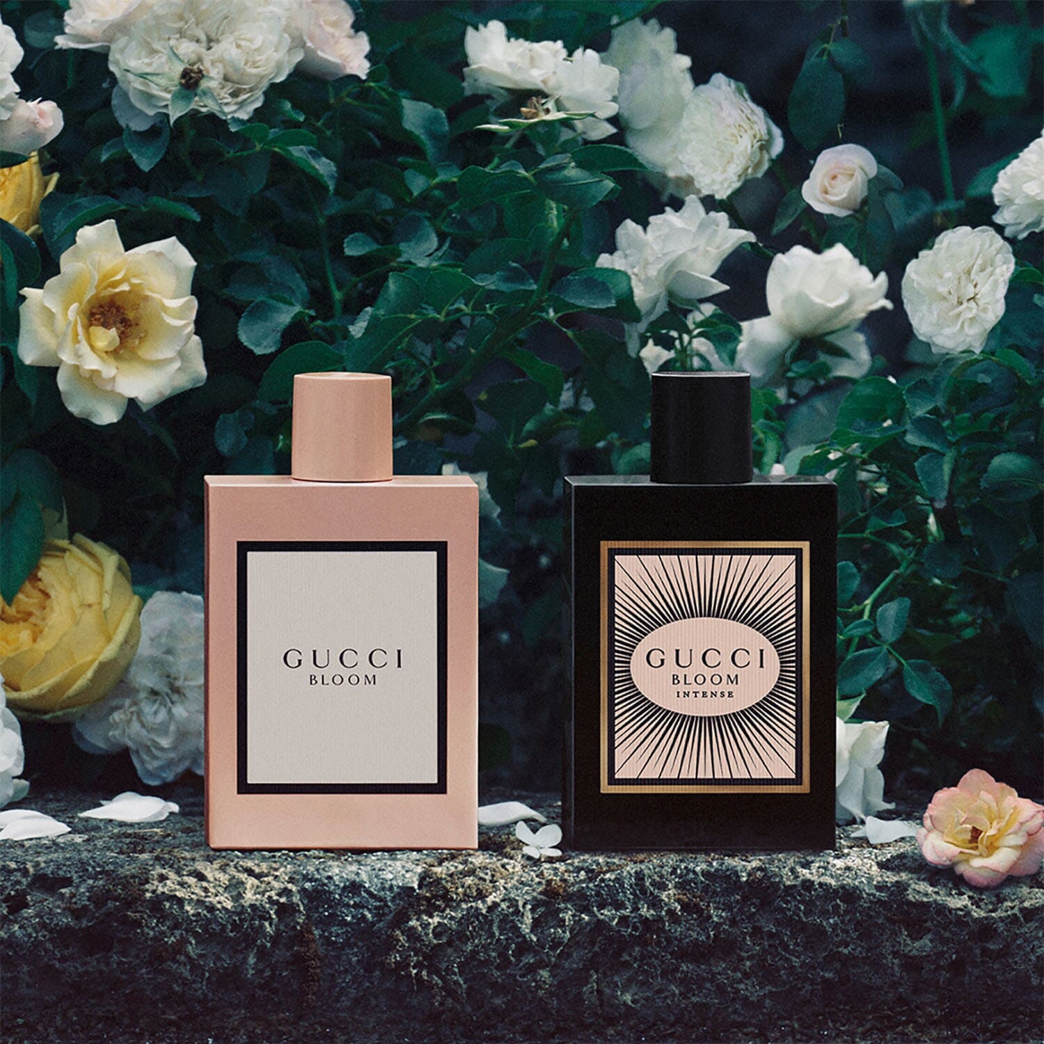 Gucci Bloom Intense - Eau de Parfum de Gucci ≡ SEPHORA